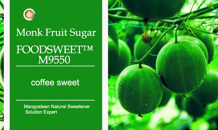 zero calorie sweetener Monk fruit -Foodchem™