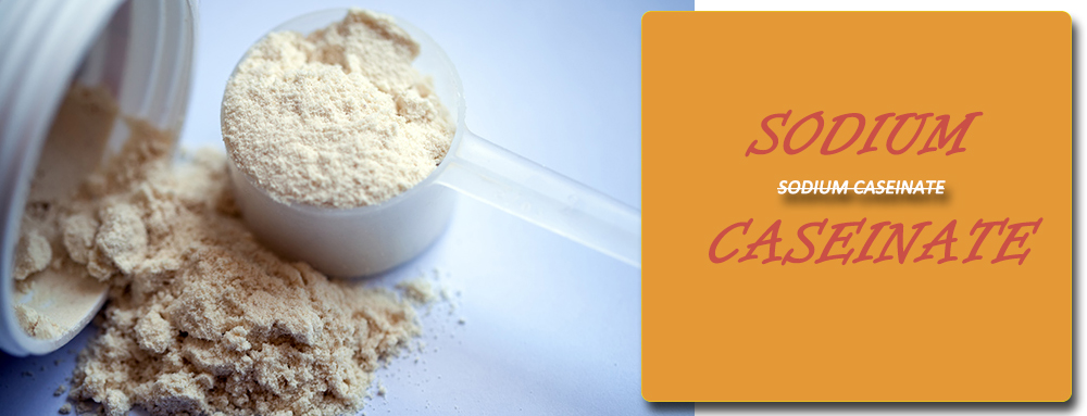 Nghiên cứu về đặc tính và tiến độ ứng dụng của natri caseinat ...