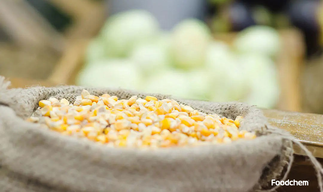 Ngô: Sự khác biệt giữa các ý kiến đã tăng lên - Foodchem International ...